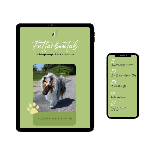 Webinare - Sarah Naß - Hundetraining mit Empathie